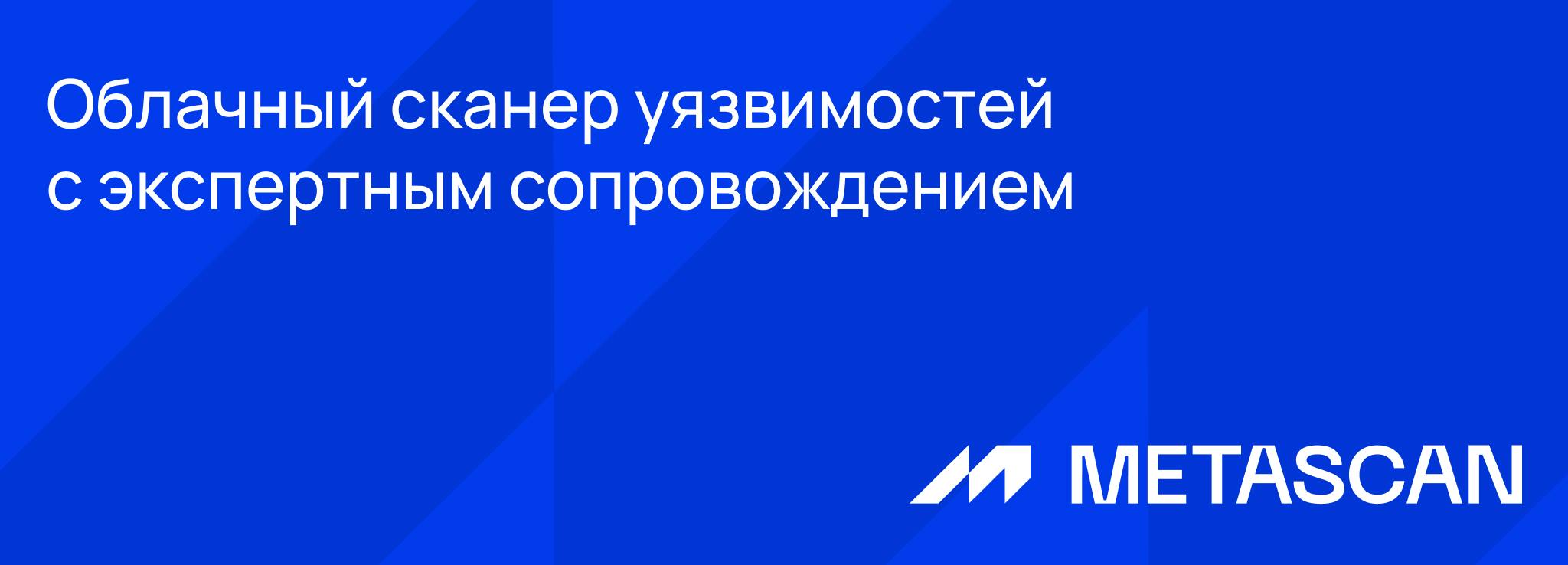 Metascan - Облачный сканер уязвимостей с экспертным сопровождением